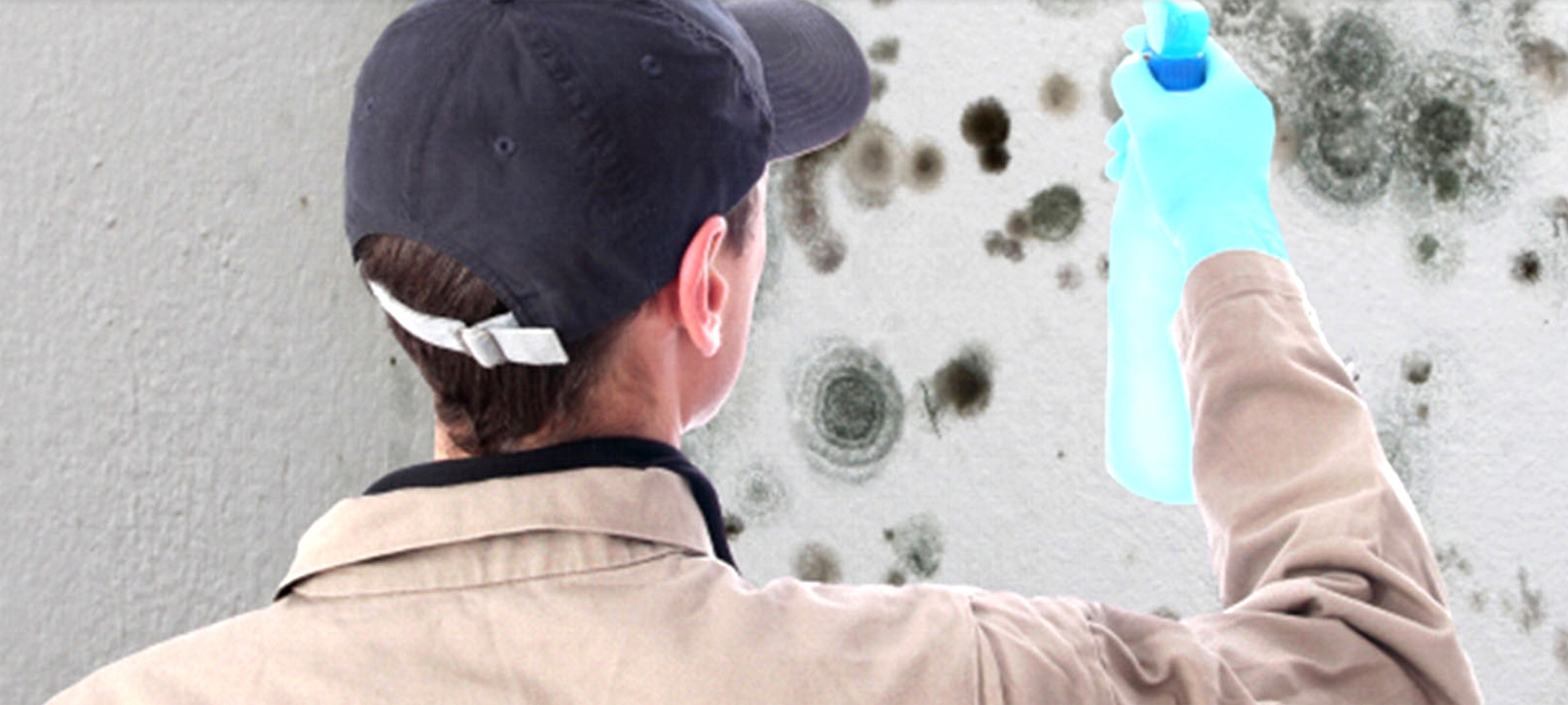 Best Mold Remediation Mount Poconos PA-570 215-7412